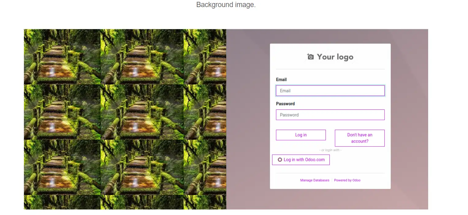 How to login to Odoo 17?