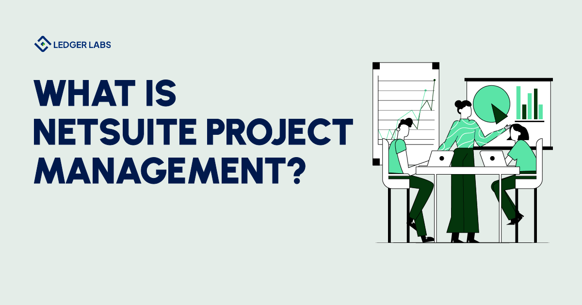 What is NetSuite Project Management? Comprehensive Overview